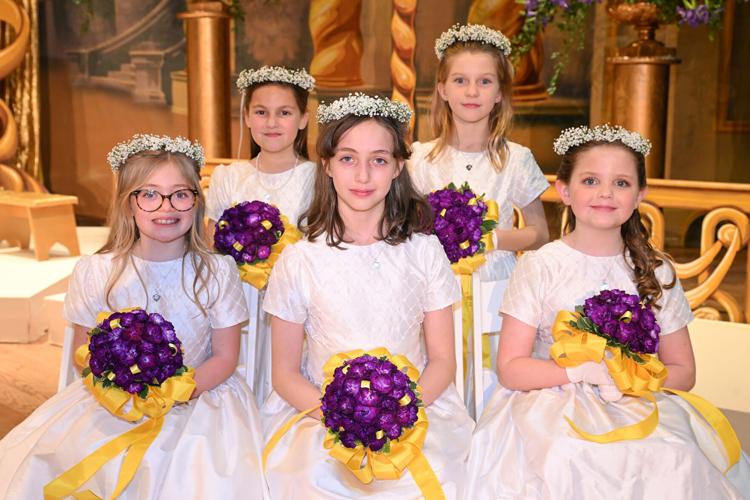 Nell Nolan: Achaeans Ball, Athenians Ball, Sugar Bowl Dinner 2023 ...