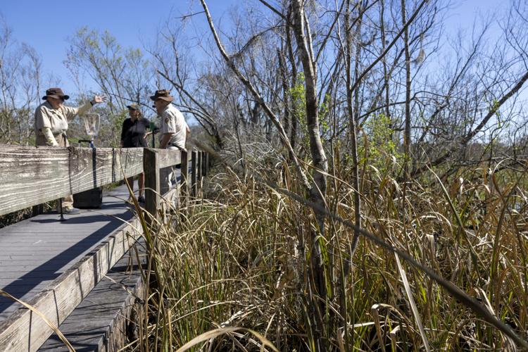 Barataria Preserve, other public parks, get $26M in grants for ...