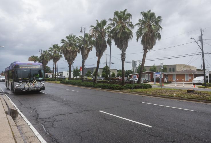 Here's why Kenner removed 11 oak trees on Williams Blvd | News | nola.com