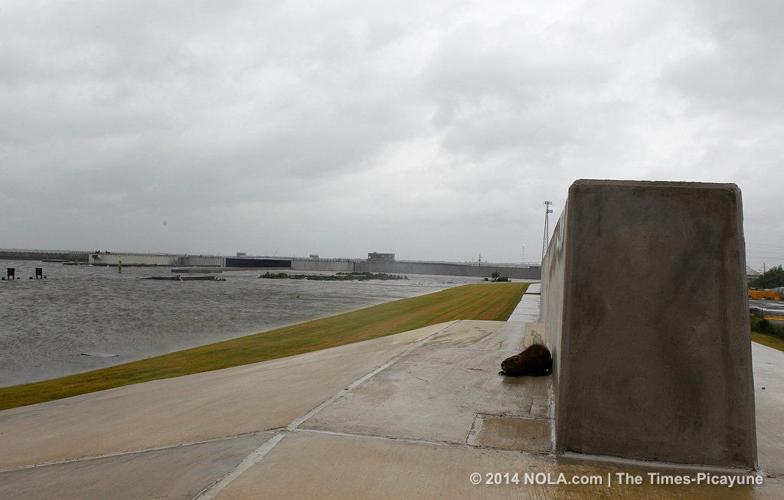 New Orleans area hurricane levee system: Lake Borgne surge barrier ...