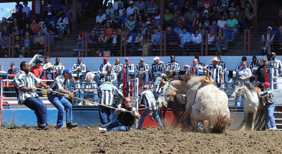 Angola Prison Rodeo, Treme Culture Fest, Satsuma Celebration and more ...