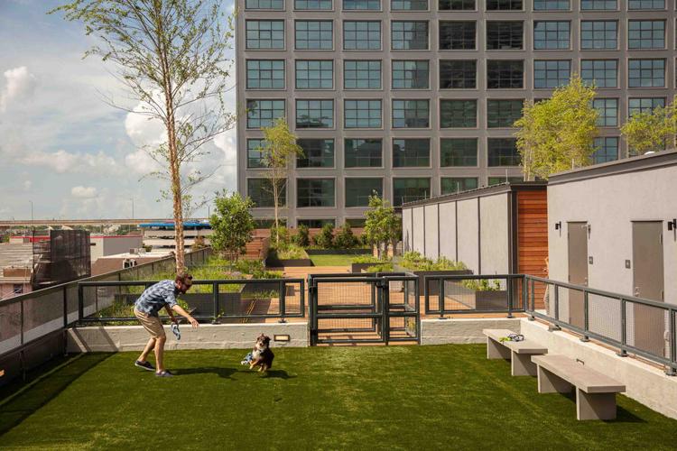 See inside The Standard, a new $80 million luxury condo building in ...