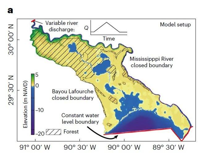 Barataria wetlands losses linked to levees, oil wells: study | Environment | nola.com