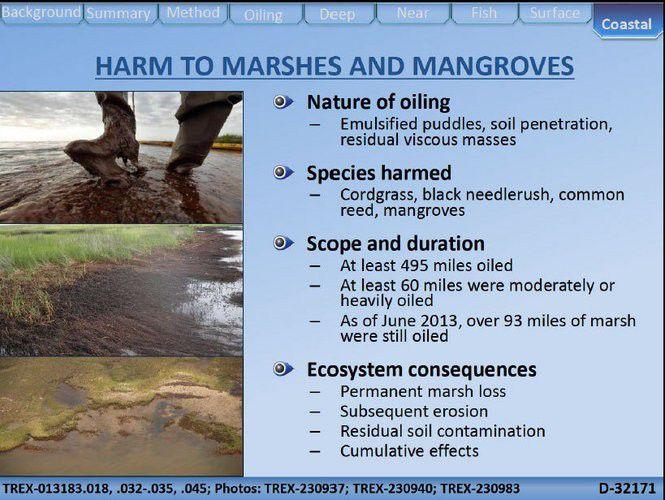In Bp Oil Spill A Tale Of Two Gulfs How The Justice Department Sees