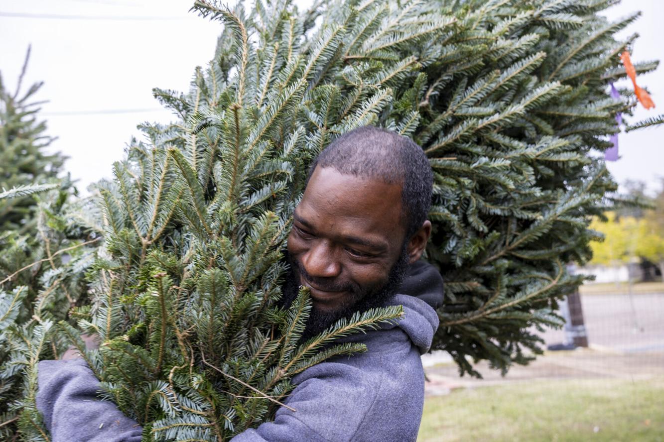 Here's where to buy Christmas trees in the New Orleans area ...