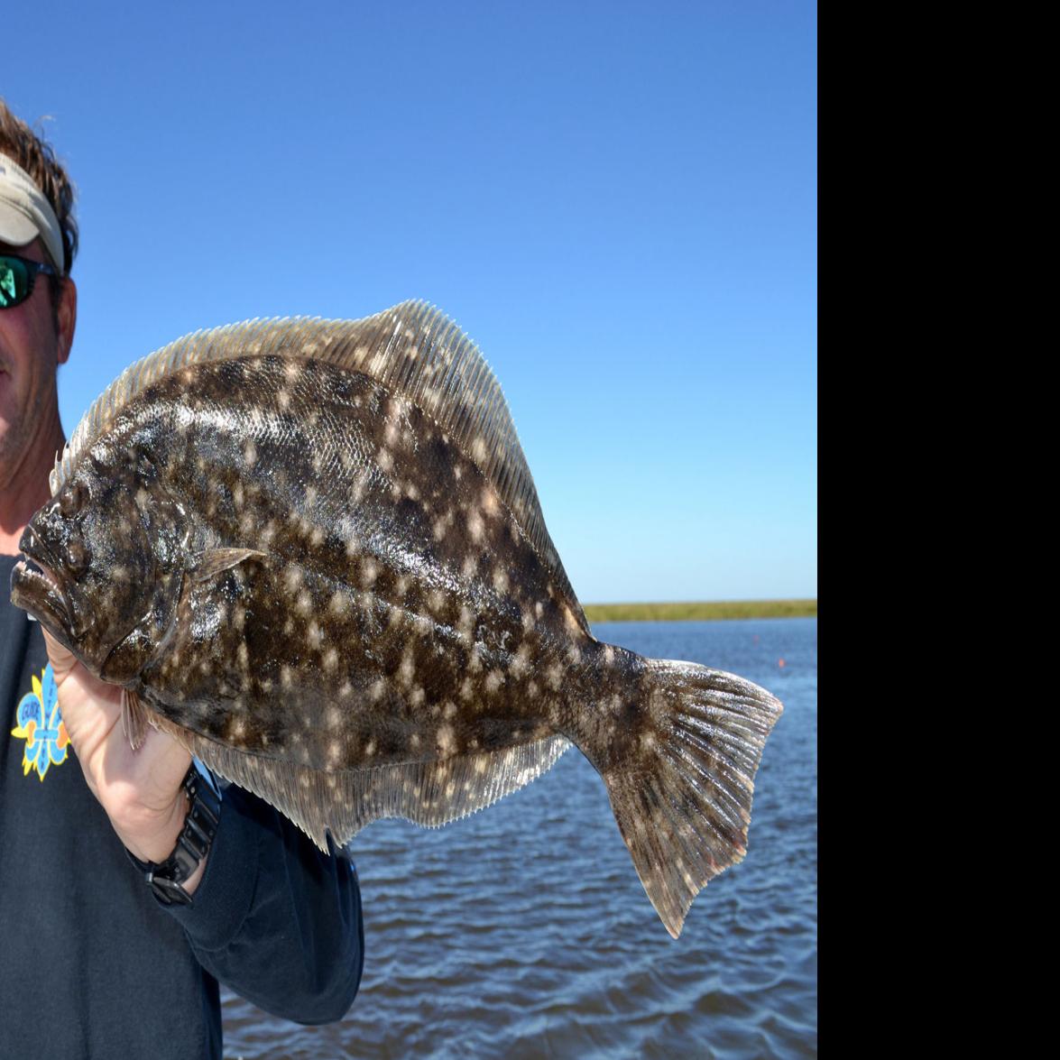 gulf flounder range