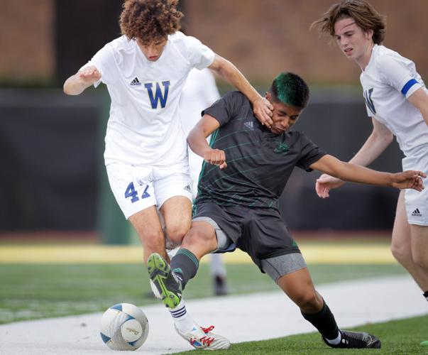 Early goals spark Willow School in boys soccer state championship win ...