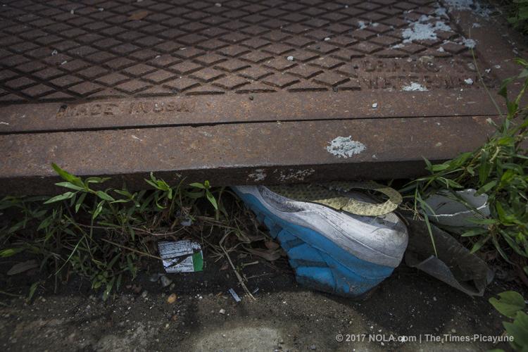 Emergency catch basin cleanings have begun in New Orleans | Local ...