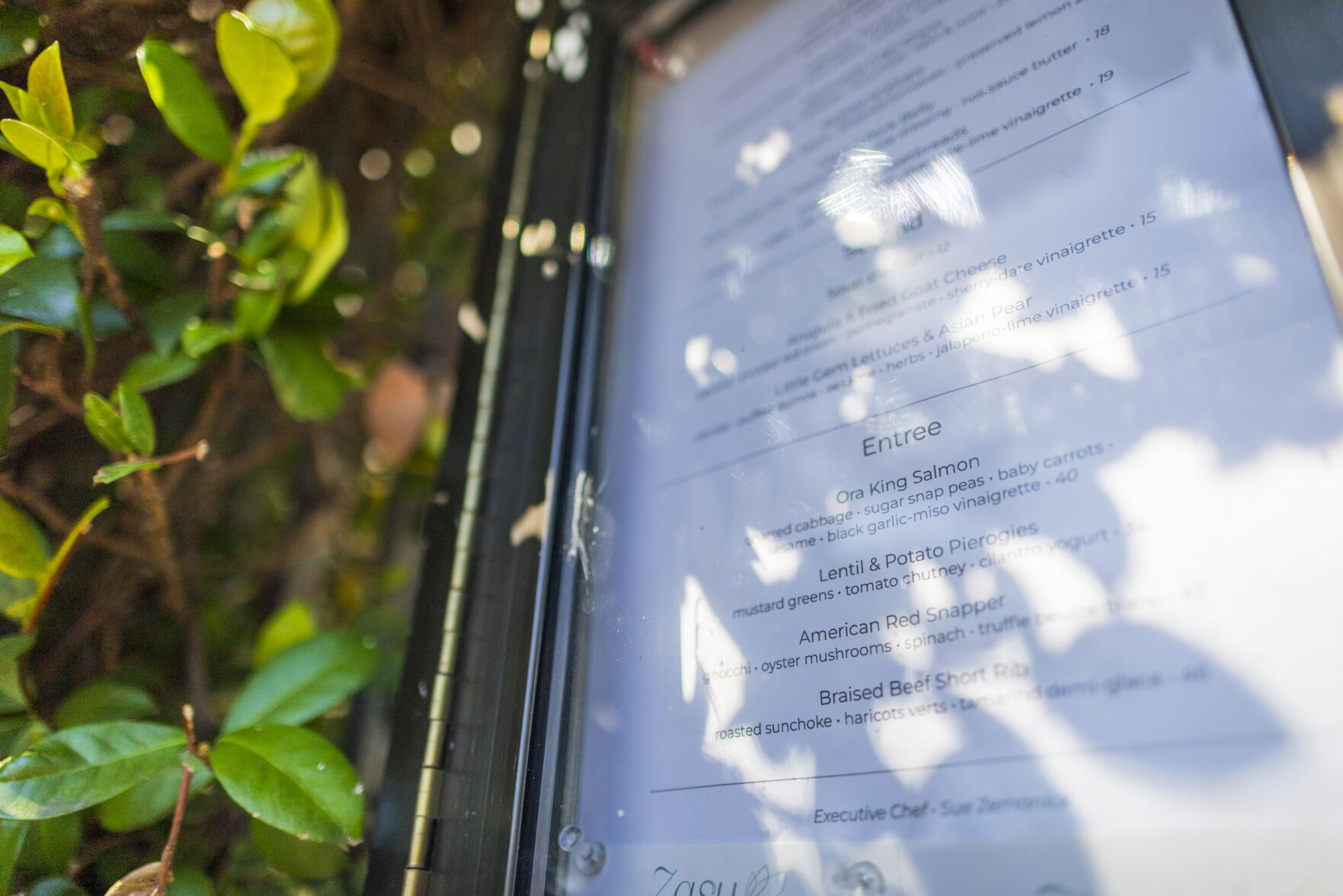 NO.zasuprofile.110925_13433.JPG | | nola.com