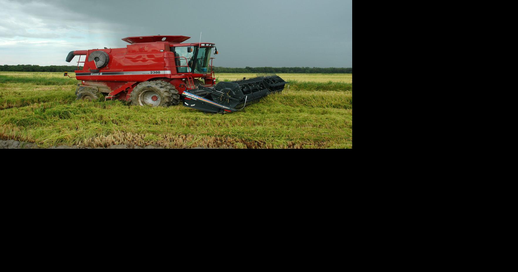 Editorial: La. rice farmers deserve the USAID food program | Our Views ...