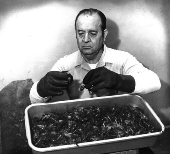 20 vintage crawfish photos: mudbugs from back in the day | Where NOLA ...