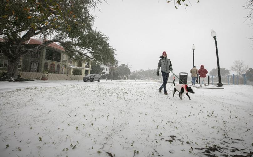 See 2025 photos of New Orleans landmarks covered in snow | Weather ...