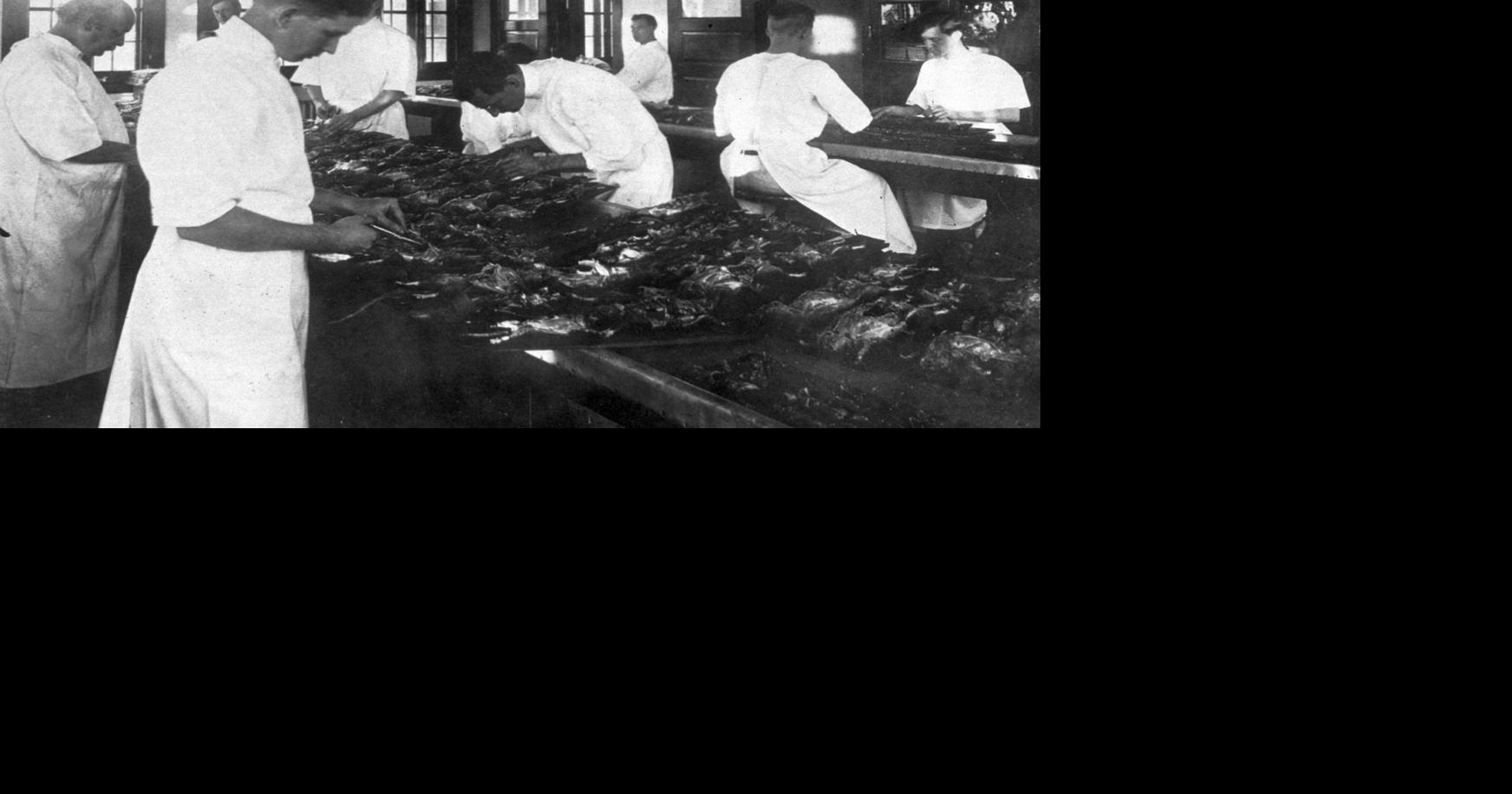 The battle against bubonic plague: 100 years ago, New Orleans waged war ...