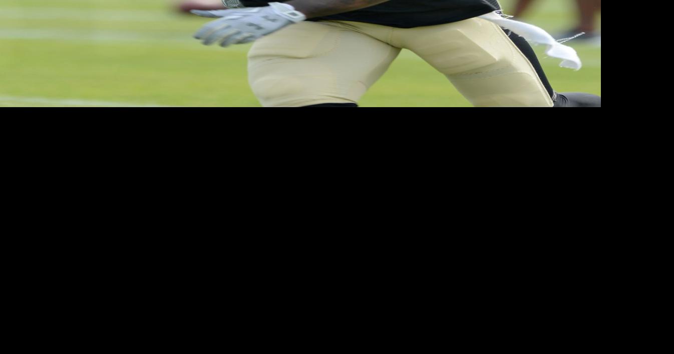 Rafael Bush embracing role of grizzled veteran in young Saints ...