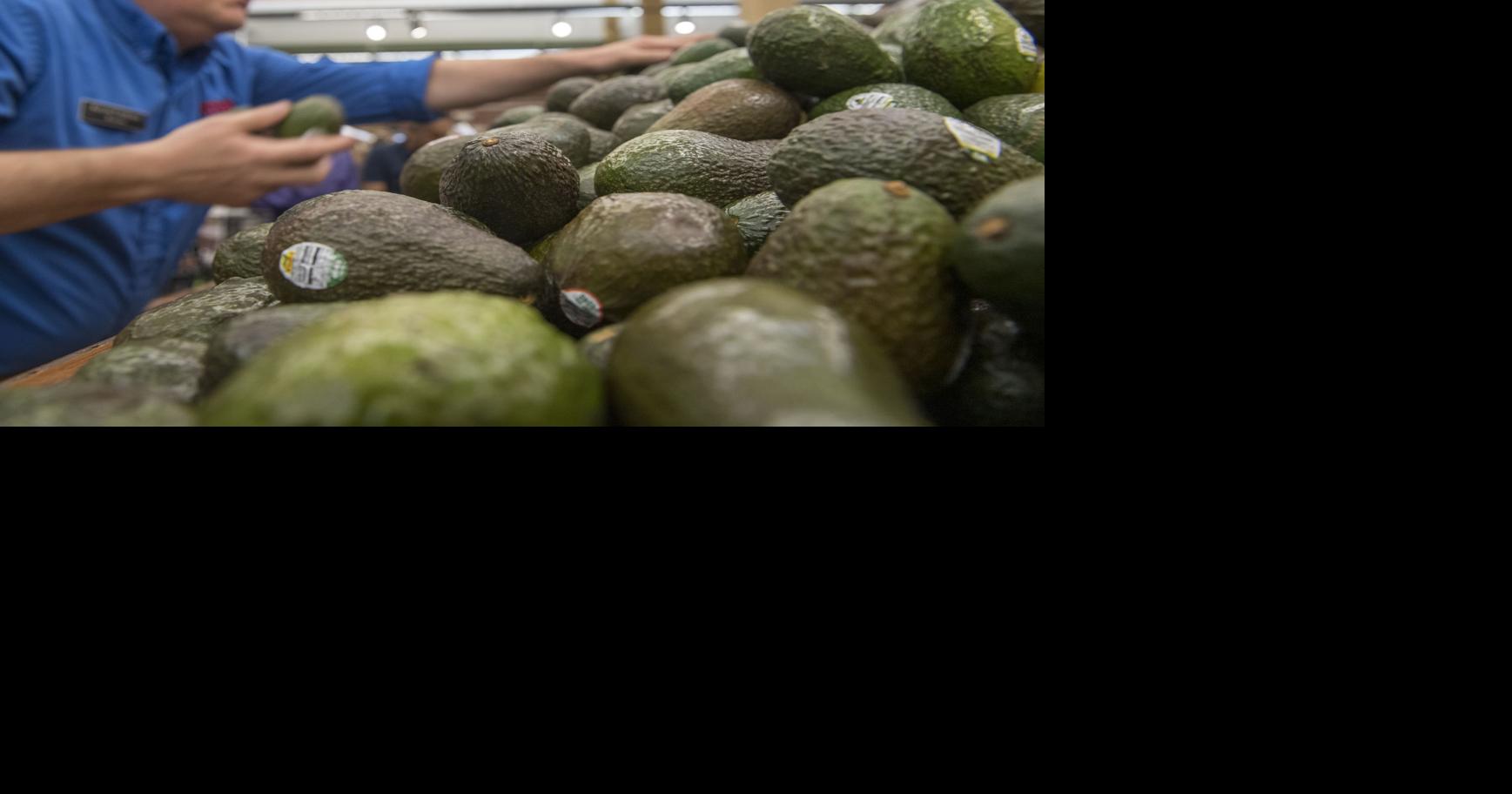 Is that avocado ready for harvest? Here's what to look for in your ...