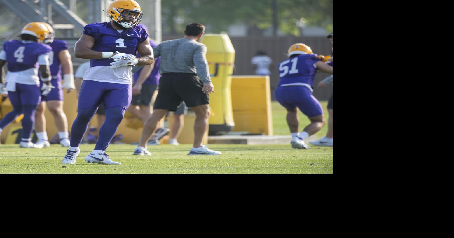 LSU football: Transfers expected to fill key roles again | LSU | nola.com