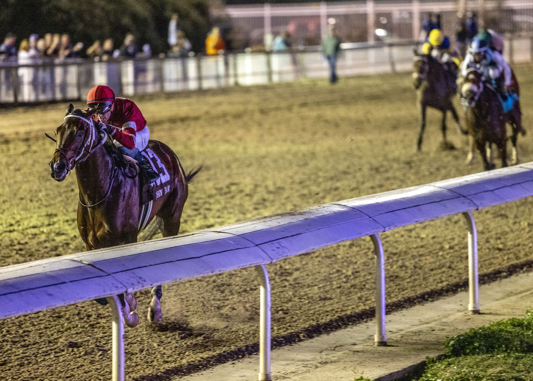 Magnitude wins the 2025 Risen Star Stakes | Sports | nola.com