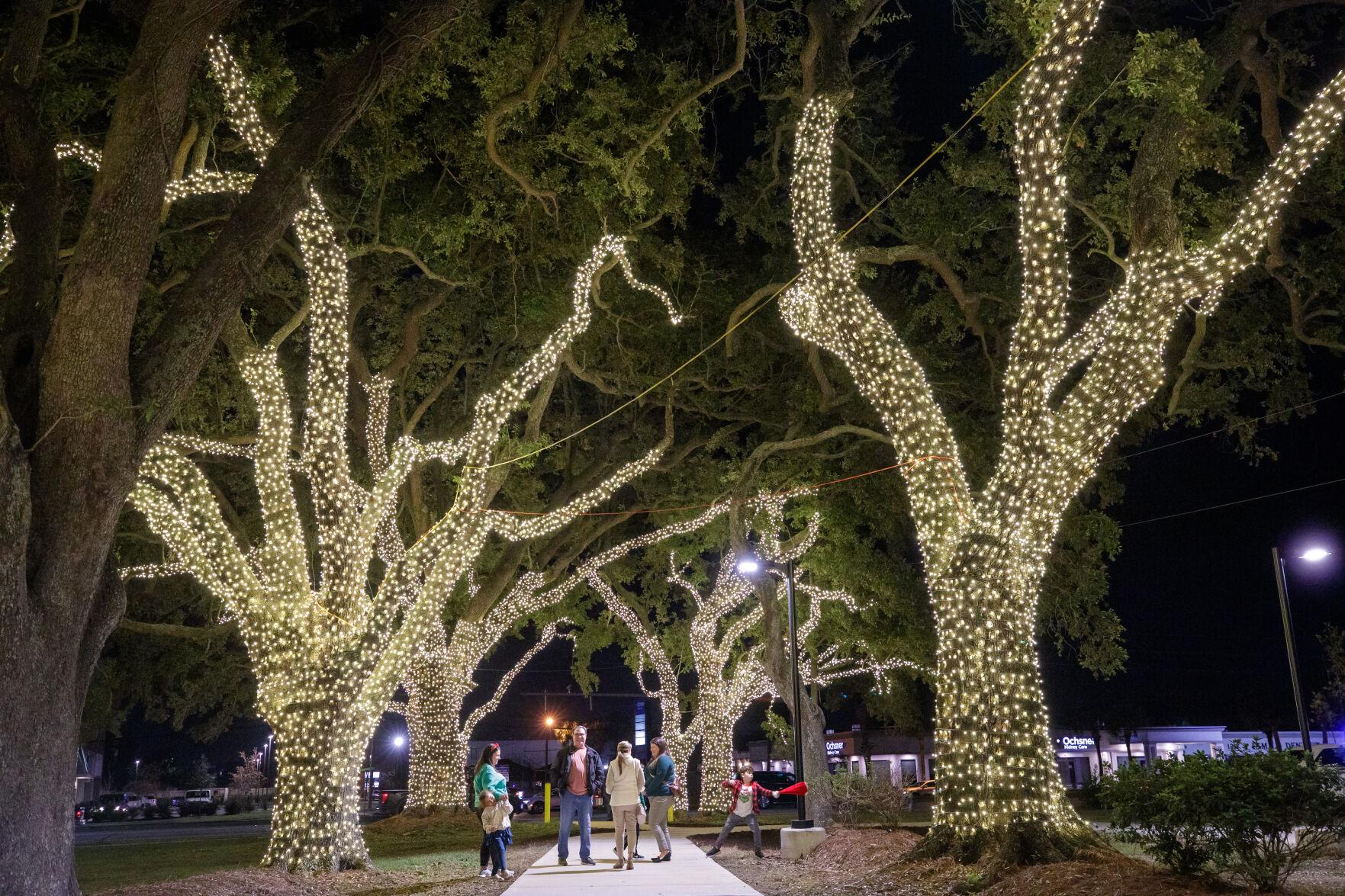 Photos: Hope Haven Live Oak trees are lighted for the first time for ...