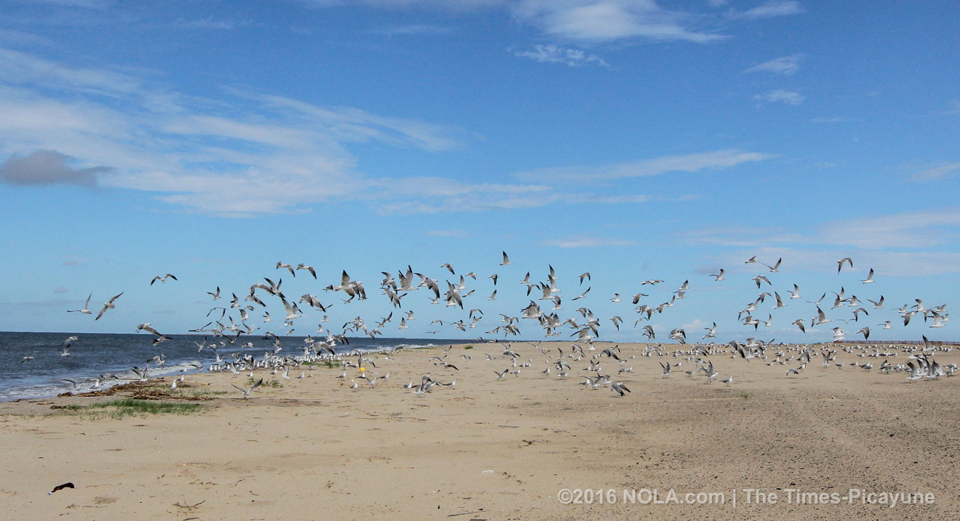 $80 million Shell Island restoration nears completion | Environment ...