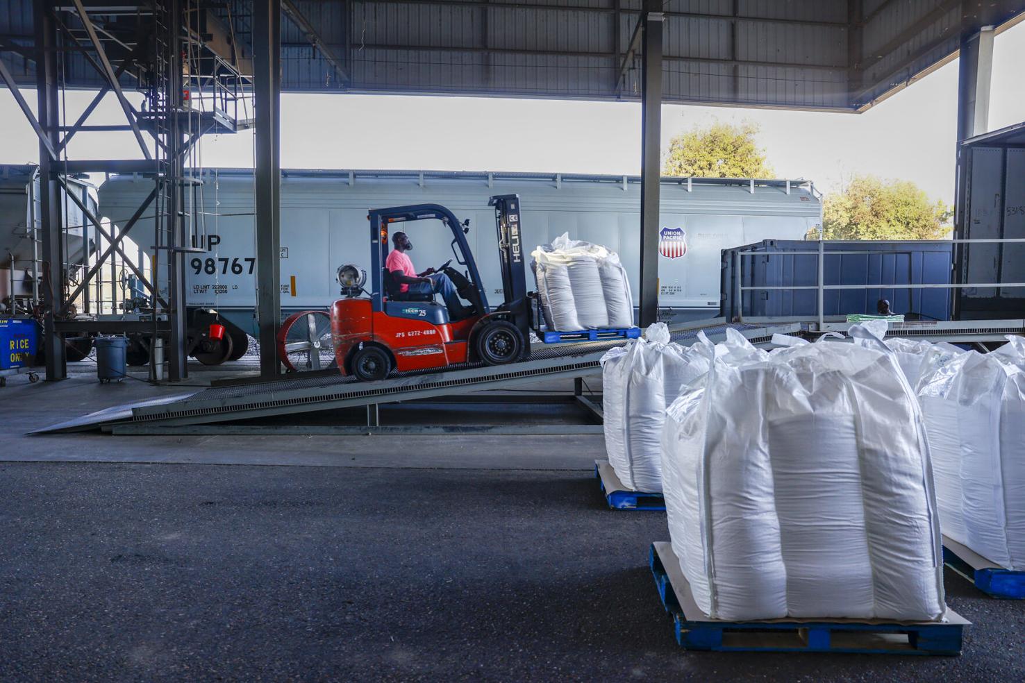 Photos: Meryl Kennedy is changing Louisiana agriculture | Photos | nola.com