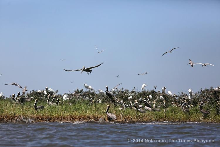 To save Louisiana's coast, protect our Restore Act funds: Kevin Kane ...