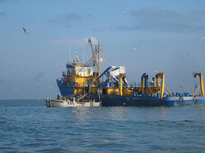 Big business of catching tiny fish won't be restricted in coastal ...