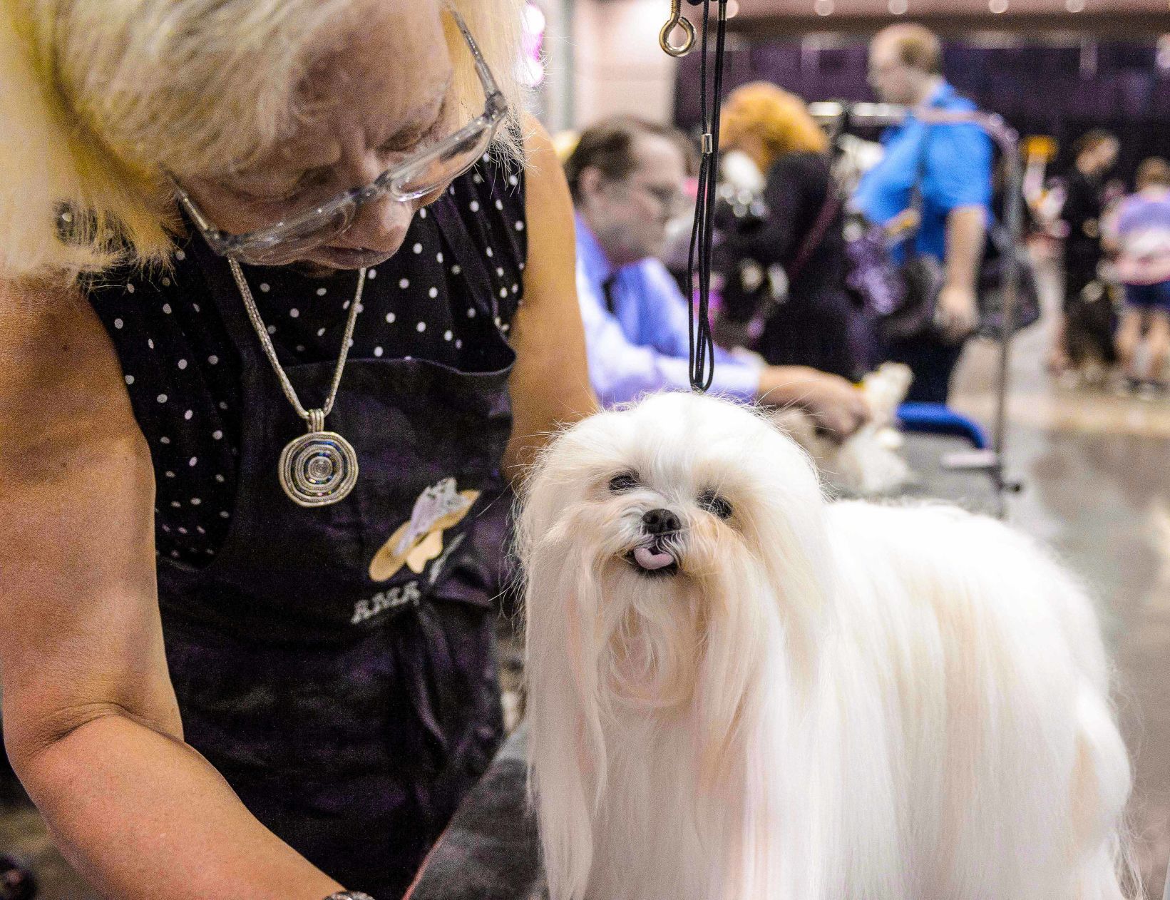 7 ways pet owners can control the fur flying at home | Home/Garden ...