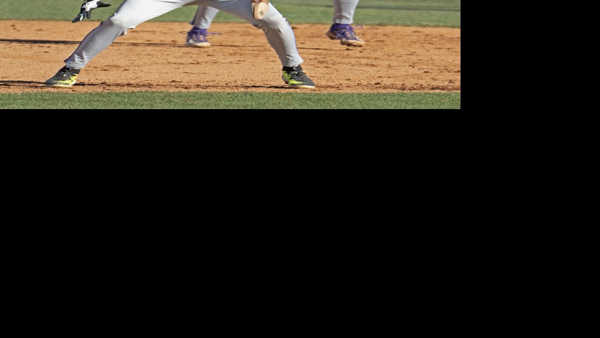 LSU baseball: Chris Stanfield similar to Michael Braswell | LSU | nola.com