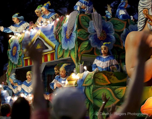 Sparta and Pygmalion 2019 Mardi Gras parades roll despite rain: see ...