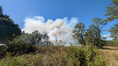 Multiple homes threated by woods fire near Pearl River | One Tammany ...