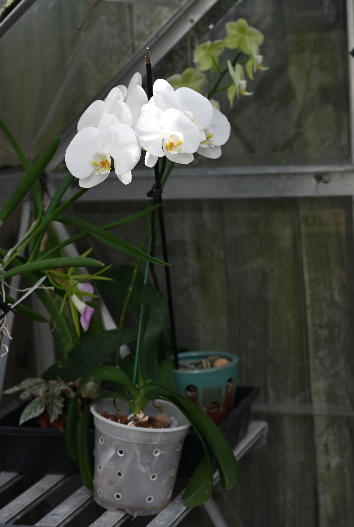 Creative couple finds their natural habitat in a Crescent City home ...