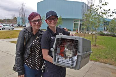 Philly Cat’s story highlights what the SPCA can do for you if your pet ...