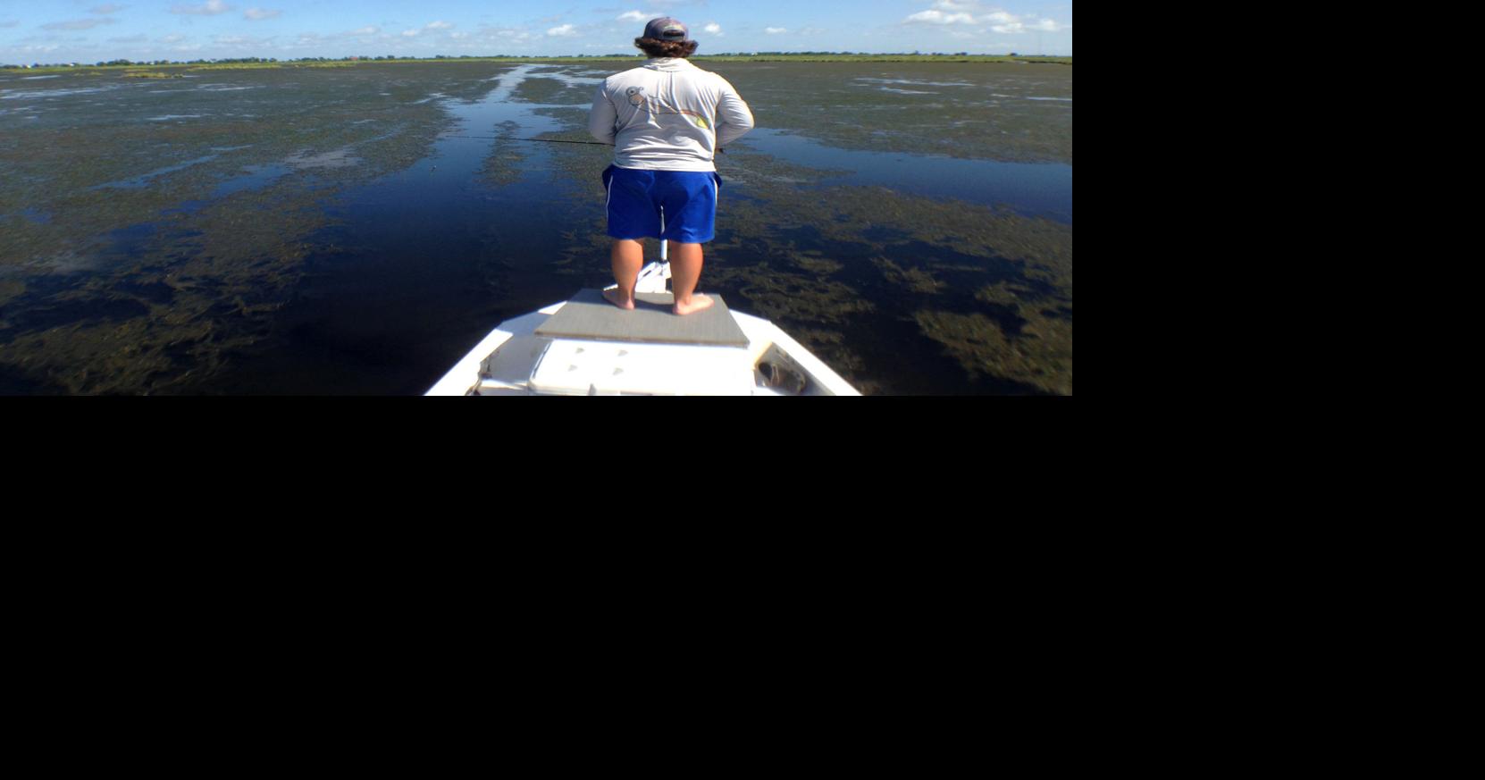 Redfish clog Louisiana's shallows in summertime | Sports | nola.com