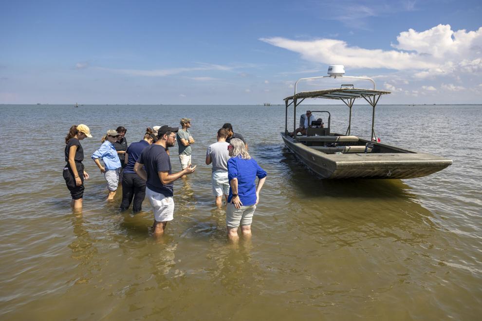 Photos: A partial solution for Louisiana's disappearing coast may be ...