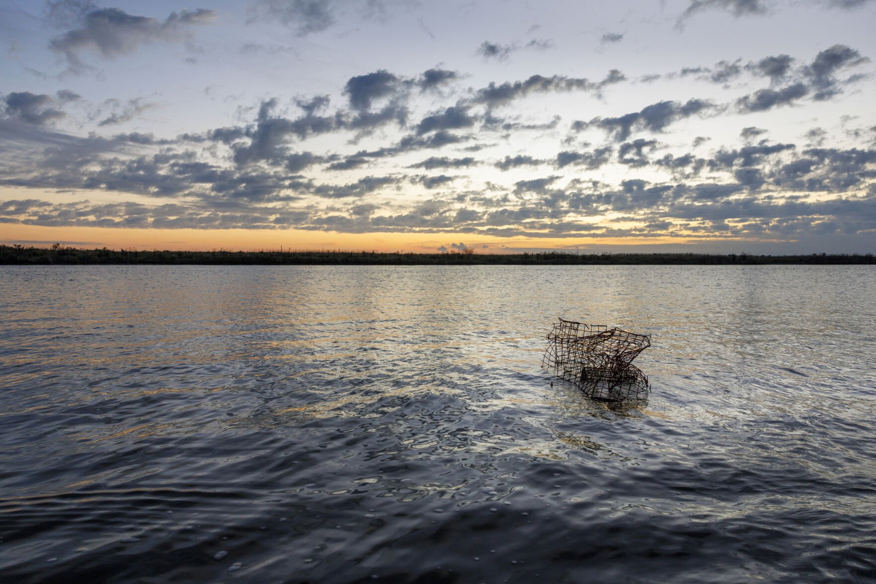 NO.cerrato.adv_13204.JPG | | nola.com