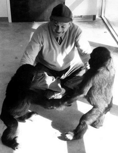 Remembering Rodney Fertel's 'gorilla' campaign for New Orleans mayor ...