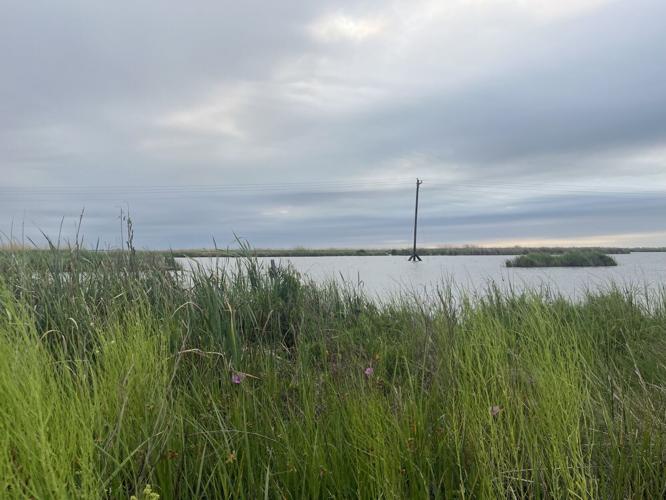 Could SpaceX be buying land in southern Vermilion Parish | Business ...