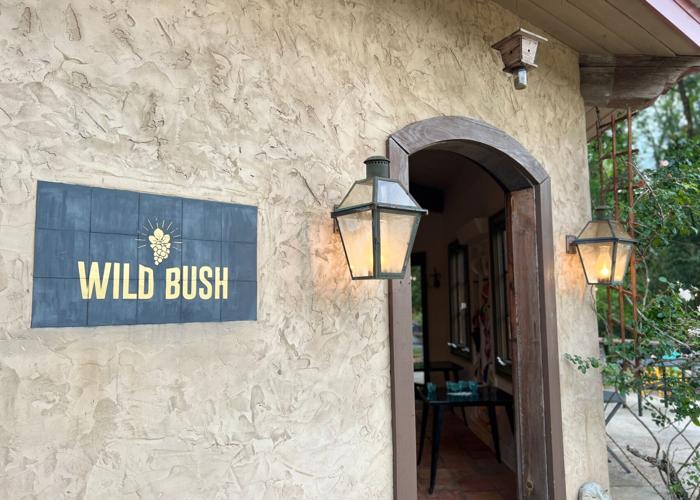 Wild Bush vineyard out to change what Louisiana wine can be | Where ...