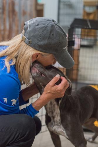 164 homeless pets airlifted from overflowing Louisiana shelters to new homes ahead of peak storm ...
