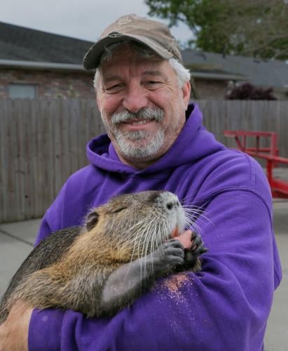 Rescued nutria rat becomes family pet in Bucktown | Entertainment/Life ...
