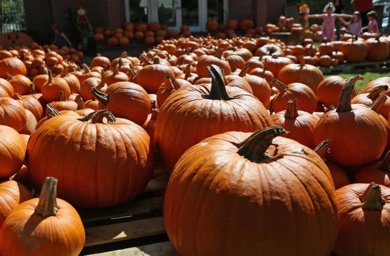 Pumpkin patches to visit in and around New Orleans | Archive | nola.com