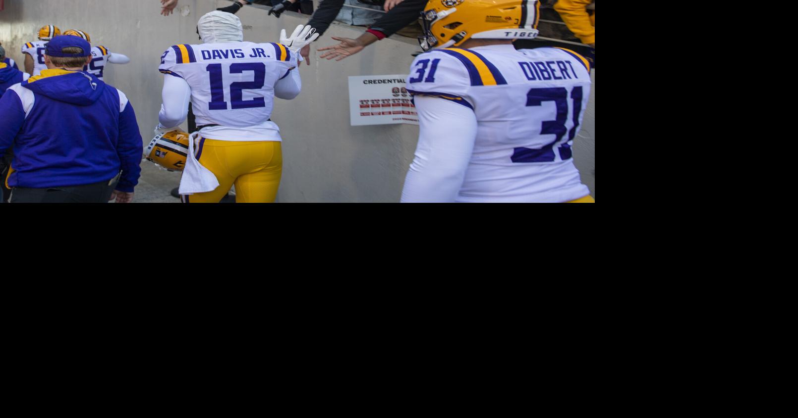 LSU athlete Derrick Davis Jr. enters the transfer portal | LSU | nola.com