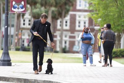 Leave your venomous critters at home for this week's animal blessing in ...