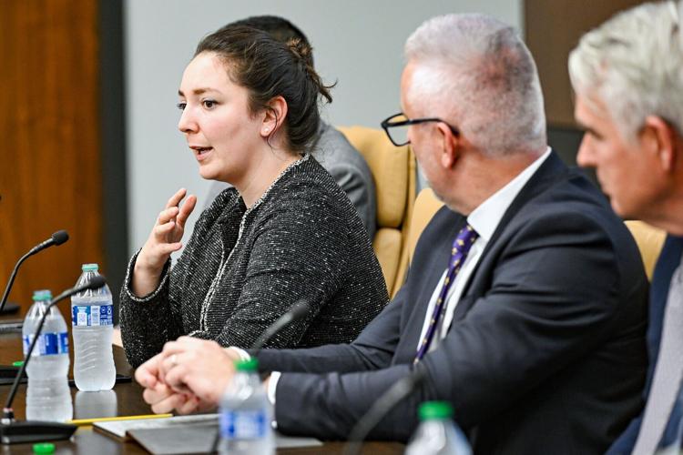 LSU,Southern, other colleges, companies seek climate answers | Business ...