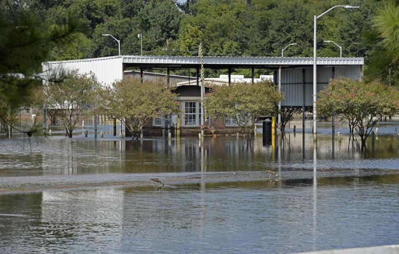 Louisiana women’s prison shuttered after flood, nearly 1,000 inmates ...