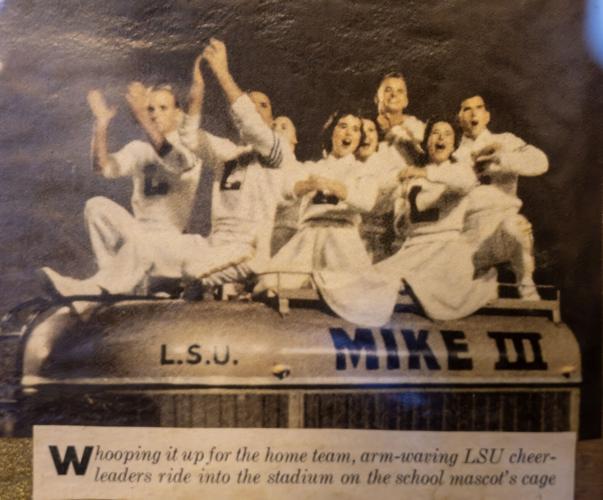 The mystery of LSU's Mike II and the second Mike II lives on | LSU ...