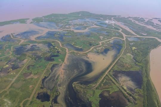 Supreme Court weighs Chevron case on Louisiana coast | Environment ...