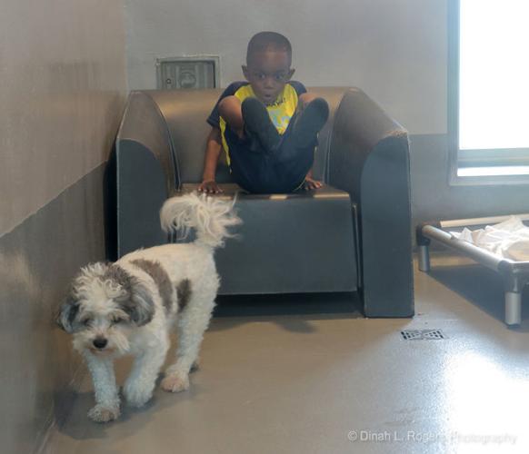 LA/SPCA partners with NOPD for special pet adoption event | Archive ...