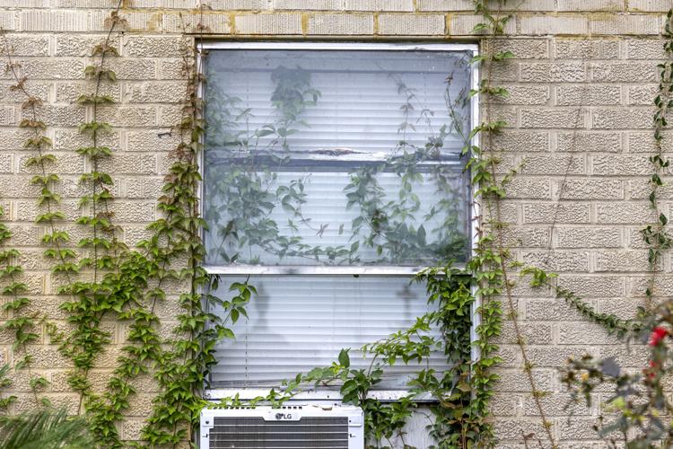 Landlord Josh Bruno pushes plan to reclaim rental complexes | Courts ...