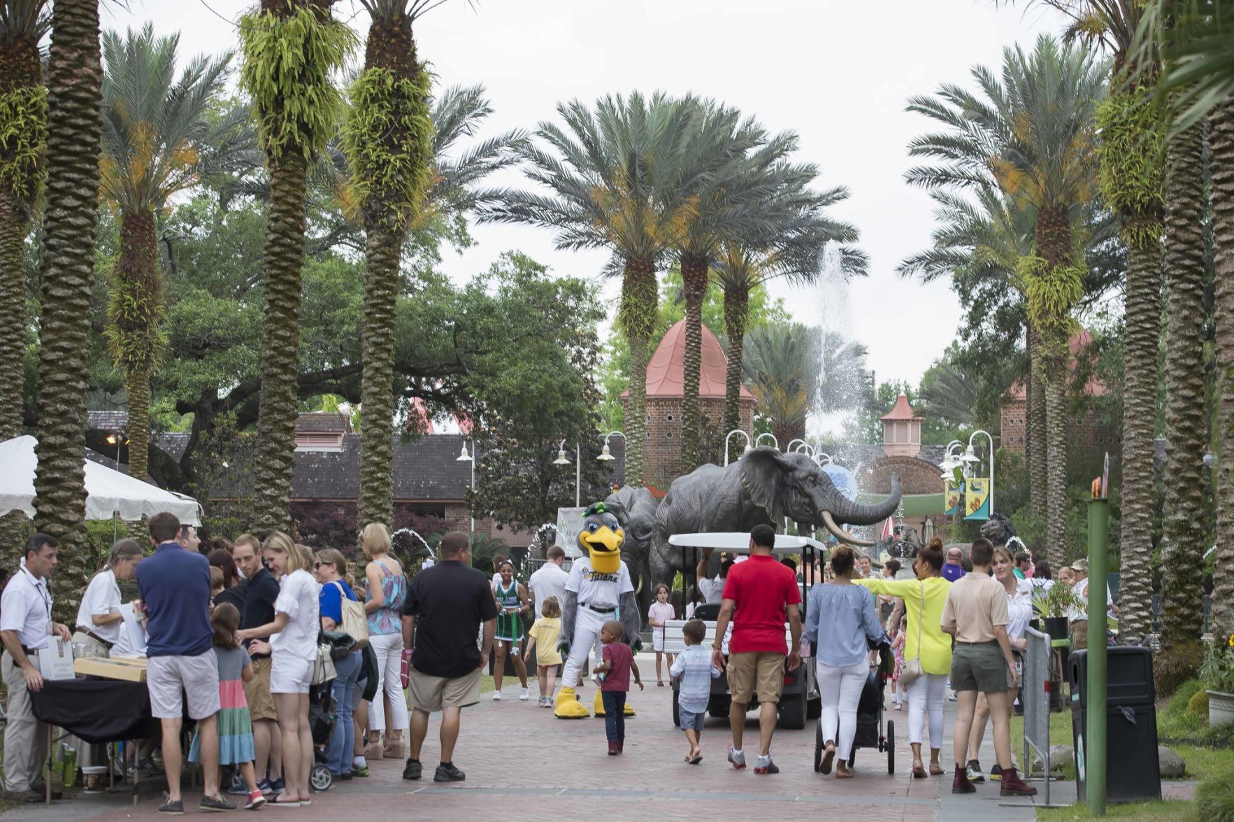 Zoo-to-Do for Kids attracts more than 3,000 to Audubon Zoo | Parties ...